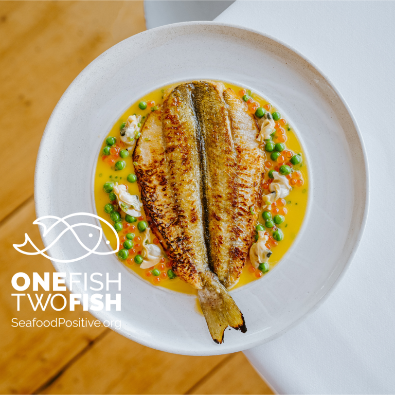 Seafood Positive X Stokehouse - Stokehouse